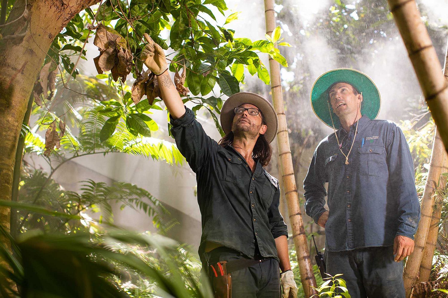 My Training | Trainees & apprentices